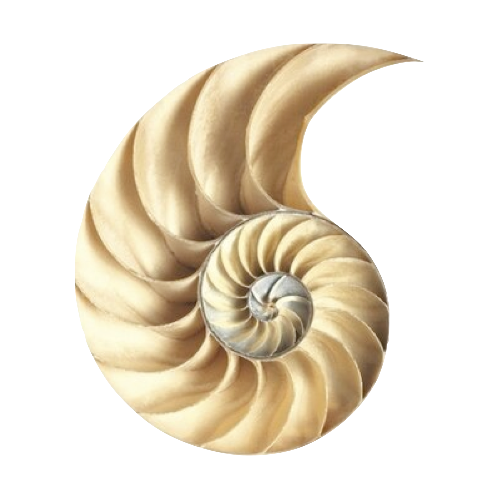 Overbury – BAT, Southampton | Hard Hat Media Dashboard